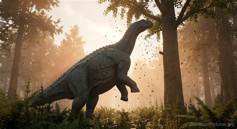 Borealosaurus Pictures And Facts The Dinosaur Database