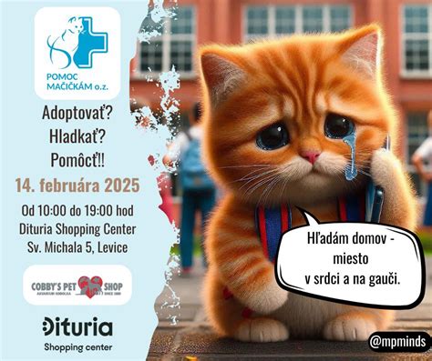 Oc Dituria Oficiálne Stránky Levice