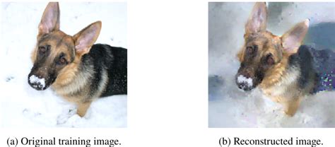 논문 리뷰 Assessing The Impact Of Image Dataset Features On Privacy Preserving Machine Learning