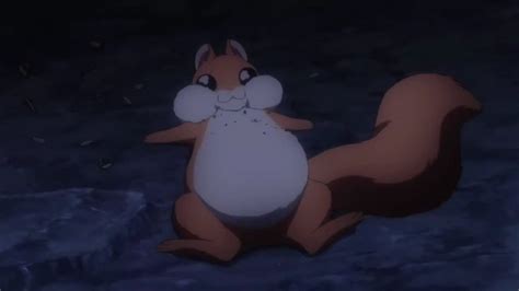 동면중 마음주는 아오 Squirrel Dawn Twitter