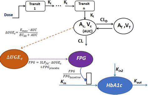 The Proposed Model Structures For Pk Pkpd And Pdend Points Auc