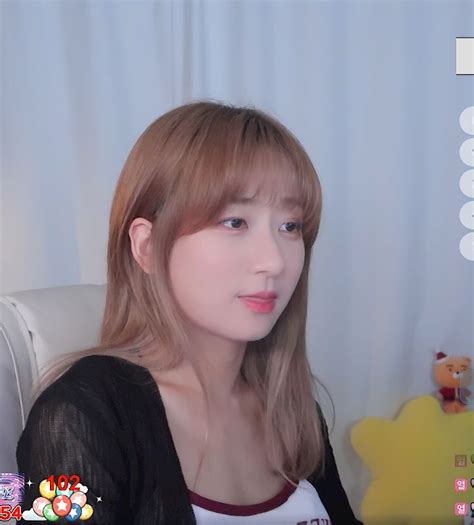 이 여캠 스타 비제이 누구 닮은거 같은데 누구더라 스타크래프트 에펨코리아