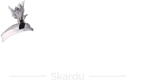 History Of Skardu From Ancient Dynasties To Modern Pakistan