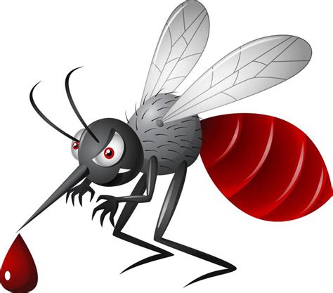 Mosquito Vector Art Icons And Graphics For Free Download