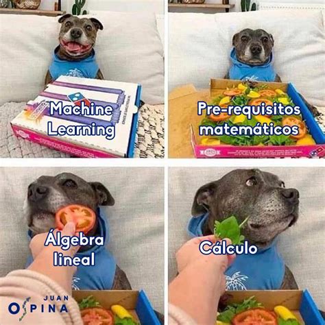 Meme Linealgebra Datascience Machinelearning Humor Juan David Ospina Arango