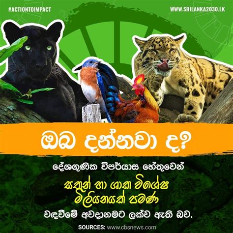 Anuki Samarasinghe Posted On Linkedin