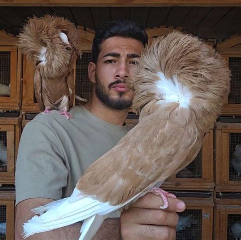 😲 علاء صبرى Alaa Sabry Facebook