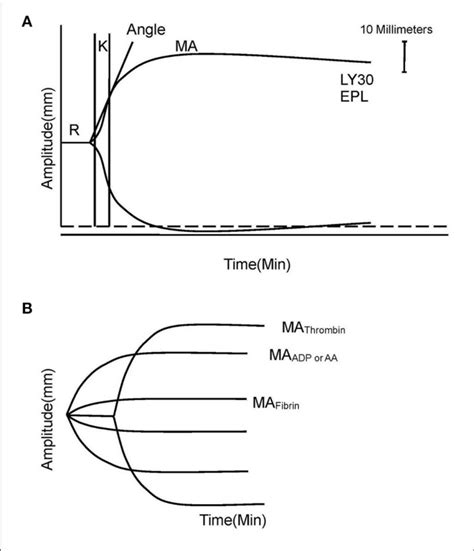 Explanation Of Teg And Teg Pm A Teg Parameters K Angle Ma Epl Download Scientific