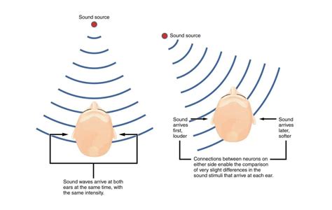 What Is Binaural Audio Immersive Audio Deep Dive Audiocube
