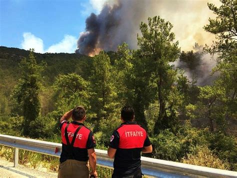 Dumandedektoru Object Detection Dataset And Pre Trained Model By Burak Boz