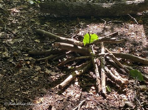 Im Aaper Wald 11 Farbenreich Weblog