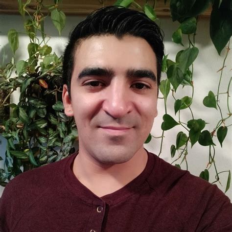 Michael Alaniz Systems Analyst State Of Oregon Linkedin