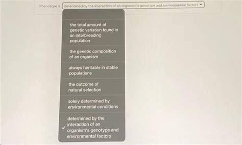 Solved Phenotype Is Determined By The Interaction Of An