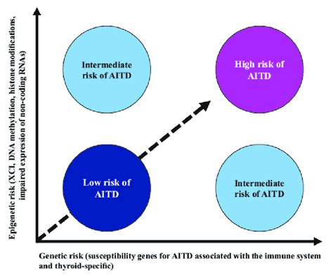 Interaction Between Genetic Susceptibility And Epigenetic Factors In
