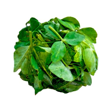 Brote De Chícharo Por Domo Moisaner Gourmet Tienda