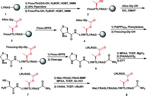Synthetic Strategy For The Model Peptide Containing The Ester Linkage