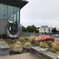 Ortega Branch Library Outer Sunset San Francisco Ca