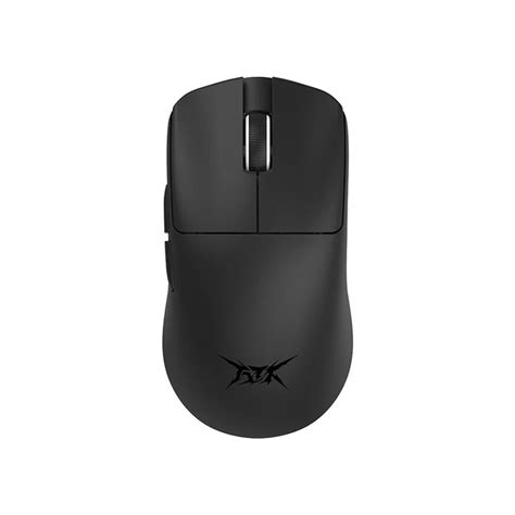 Atk Vgn Vxe Ürünleri