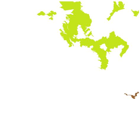 Centipeda Pleiocephala