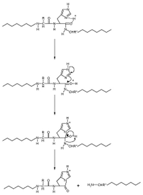 The Effect Of Histidine Oxidation On The Dissociation Patterns Of