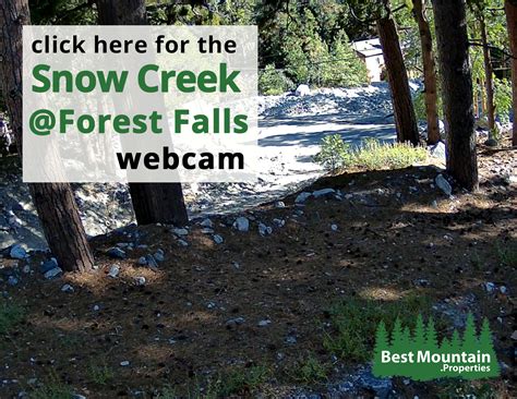 Mountain Area Webcams Best Mountain Properties