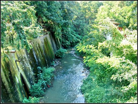 Lumea Văzută Din Turda Turda Str Augustin Bunea Si B P Hasdeu