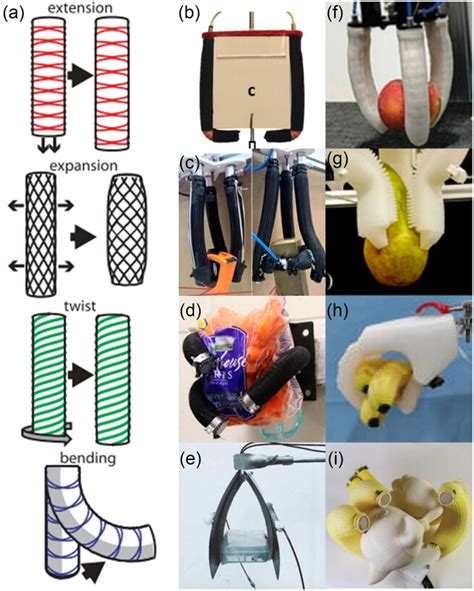 Intelligent Soft Robotic Grippers For Agricultural And Food Product