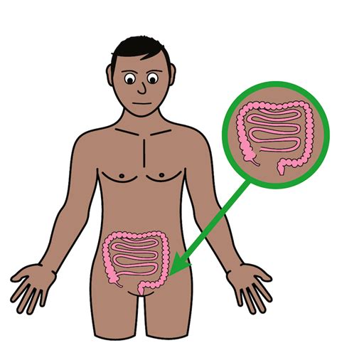 Eggs And Constipation Nhs At Bradley Briseno Blog
