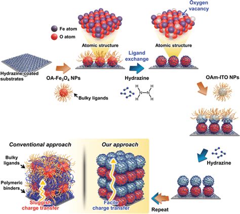 Schematic Representation Of The Preparation Of Oxide Np‐based Download Scientific Diagram