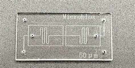 Microfluidic Chip Solutions Sensific Gmbh