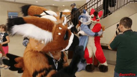 Fursuit S — Source