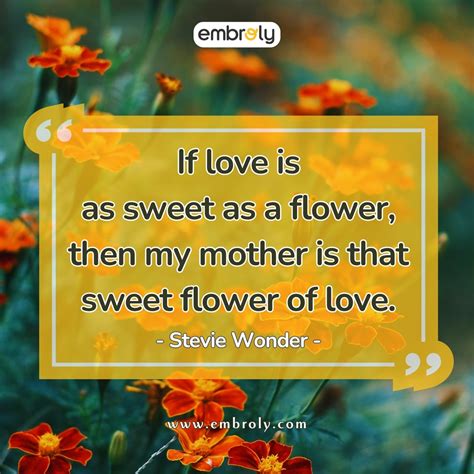 100 Mothers Unconditional Love Quotes To Beautify Your Day