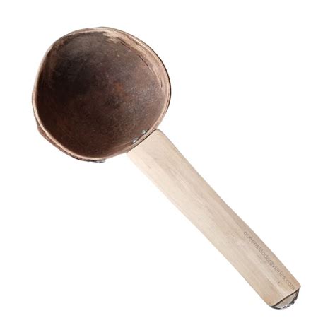 Java Platform Feeder Queenslander Aviaries