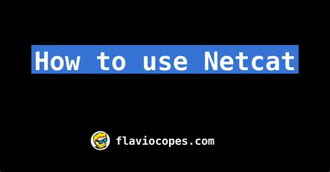 how to use netcat