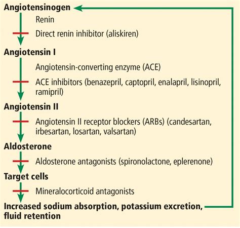 Causes Of Ace Elevation At Victoria Stead Blog