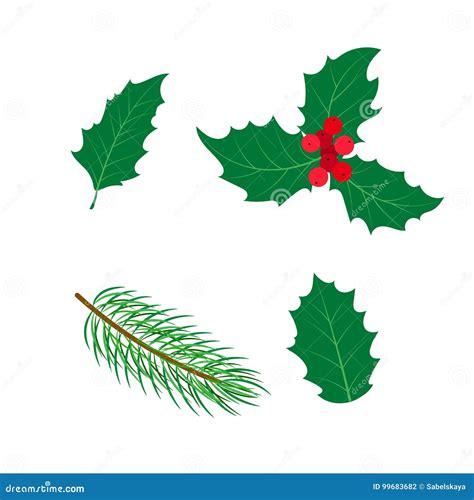 Vector Flat Holly Spruce Leaves Branch Berry Set Stock Vector