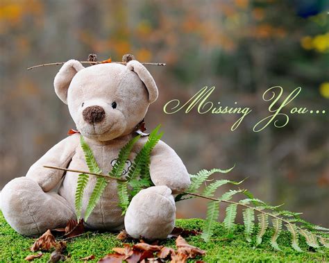 Cute Teddy Bears Wallpapers 59 Images