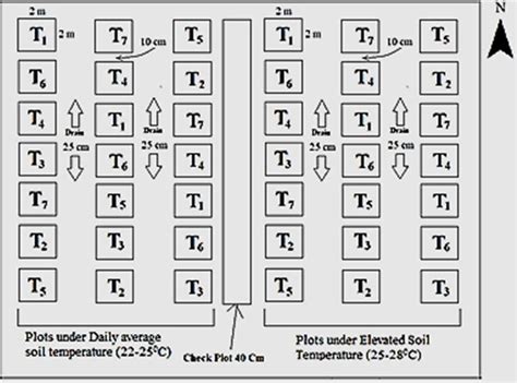 Layout Of The Field Experiment Download Scientific Diagram