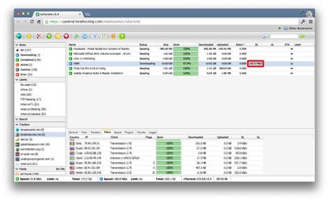 What Is A Seedbox