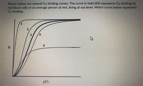 Solved Shown Below Are Several O2 Binding Curves The Curve