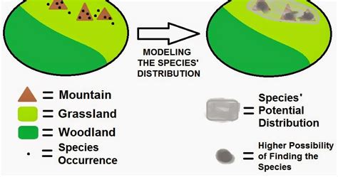 R Functions Modeling Species Distributions In R First Steps