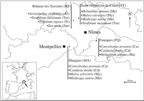 Figure 1 From Analysis Of Microsatellite Variation In The Spider Mite