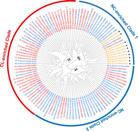 Hierarchical Clustering Of The 113 E Faecium Strains Used In This