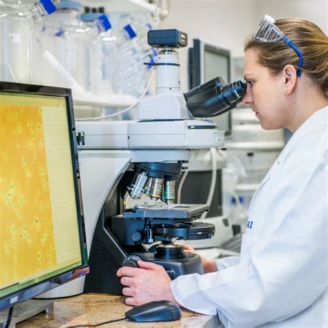 Brettanomyces Affinity Labs