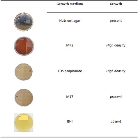 Evaluation Of The Counts And Survival Of The Probiotic Strains Contained In The Formulation In