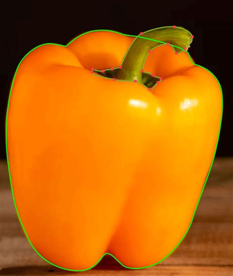 How To Use Gradient Mesh In Adobe Illustrator