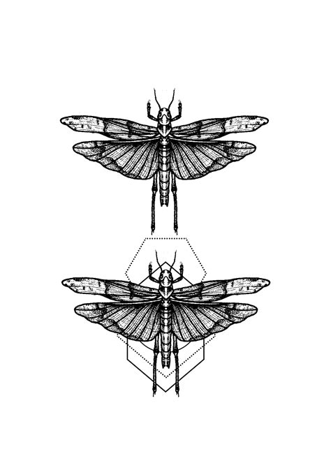 Grasshopper Tattoo Design On Behance