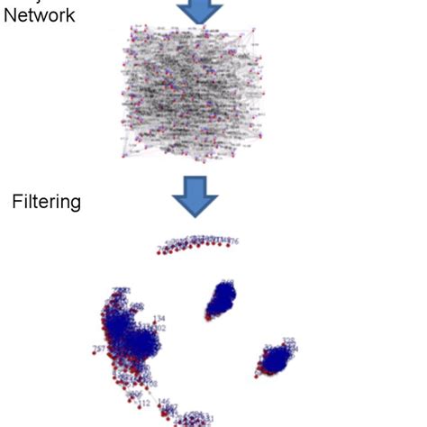 Workflow For Constructing Networks Using The Filter Reduction Method Download Scientific