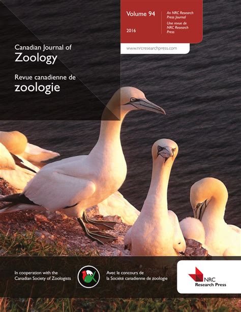 Pdf Inbreeding Avoidance In Aphidophagous Ladybird Beetles A Case