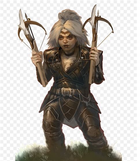 Dungeons And Dragons Dwarf Rogue Gnome Assassin Png 640x965px Dungeons